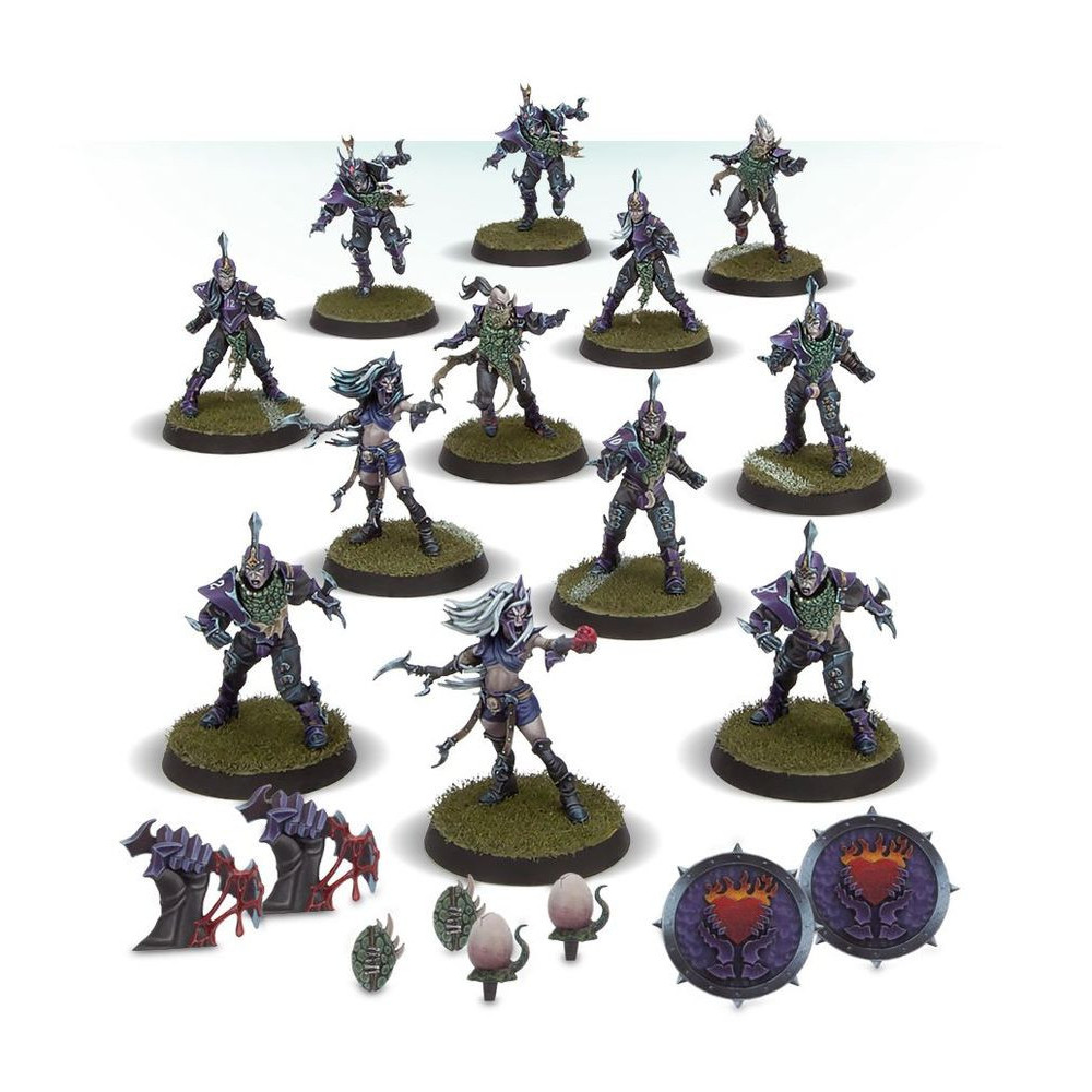 Equipo de Elfos Oscuros: Naggaroth Nightmares
